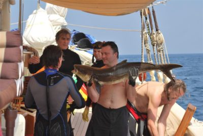 TOP Fishing Spots in Southeast Asia – Andaman Bluebay Holidays